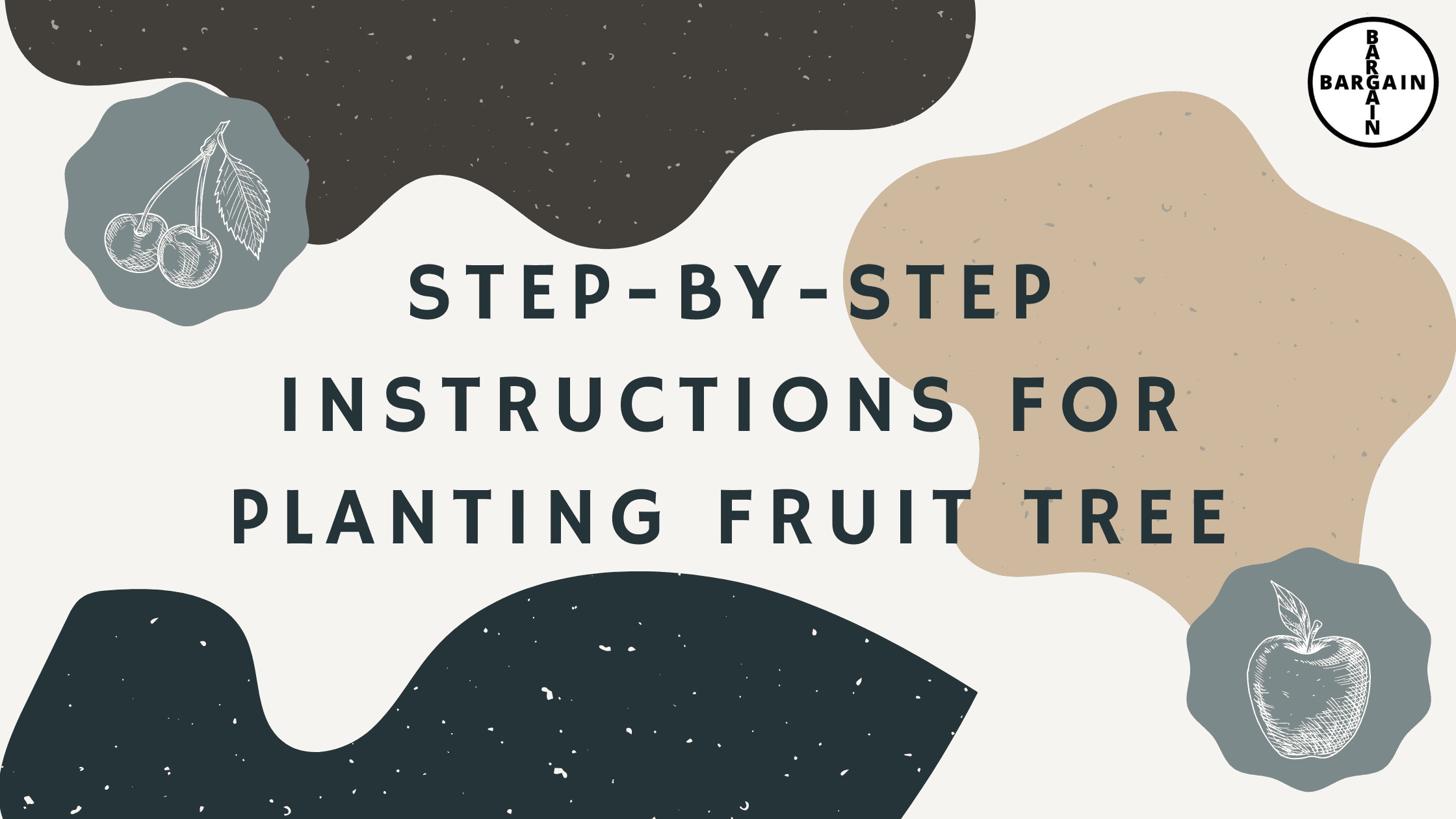 Step-By-Step Instructions For Planting Fruit Tree - Bargain Dumpster